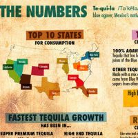Tequila Facts and Figures Infographic Cover - Distillery Trail