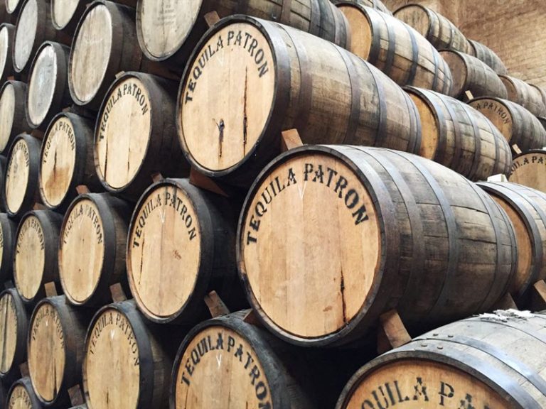 A Day on the Trail: Patrón’s Hacienda Distillery Tour - Distillery Trail