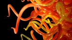Maker's Mark Distillery - Chihuly, Crimson and Chestnut Fiori Boat ...