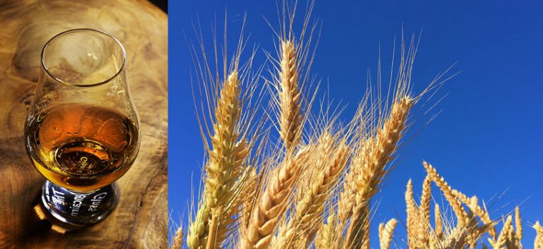 What is American Rye Whiskey - Distillery Trail