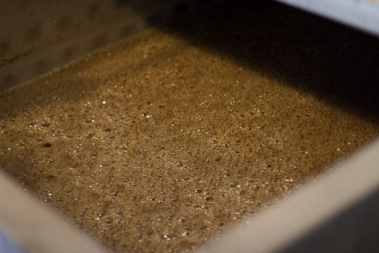 Moonshine University - 5-Day Rum Course, Rum Ferment - Distillery Trail