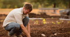 Moonshine University - 4 Responsible Ways Distillers Use Spent Grains ...