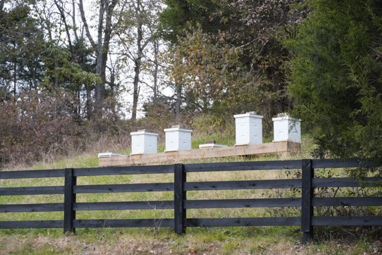 Flavor Through Nature: Maker’s Mark Distillery Opens Up 1,100 Acre Star ...