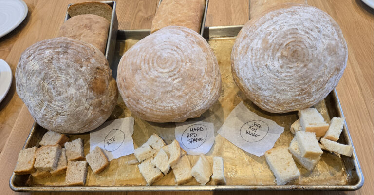 Maker’s Mark Introduces its 1st New Mash Bill Since 1953 – It All Began ...