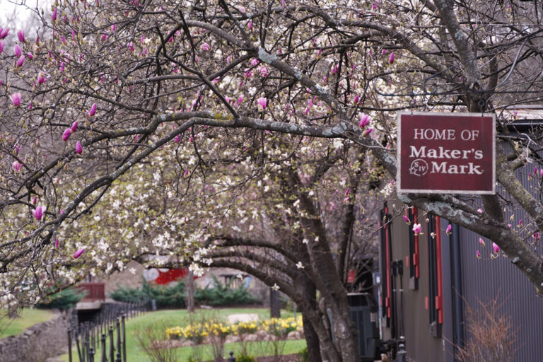 Maker’s Mark Introduces its 1st New Mash Bill Since 1953 – It All Began ...